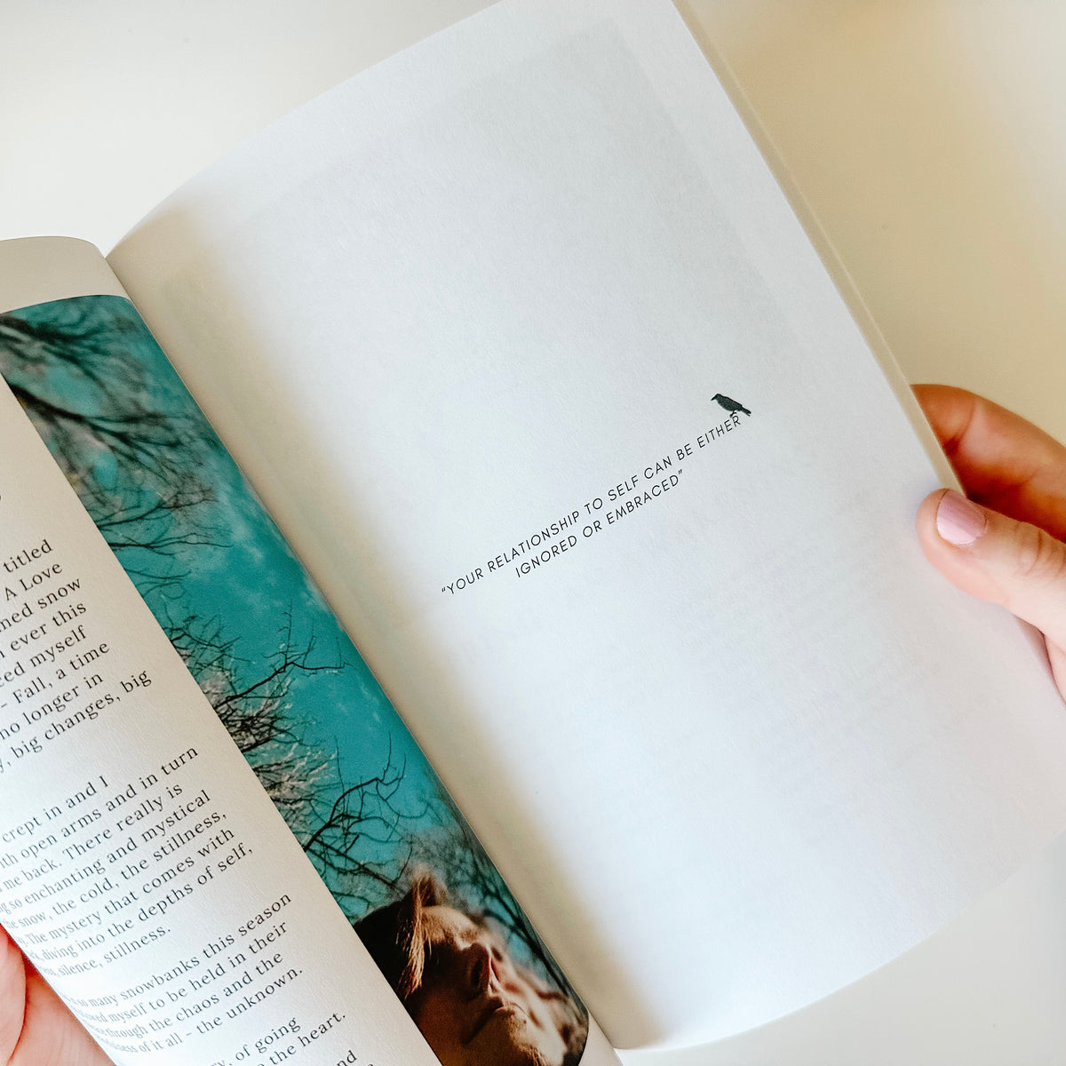 Poems From the Heart - A Journey Through the Seasons – SoulStoked